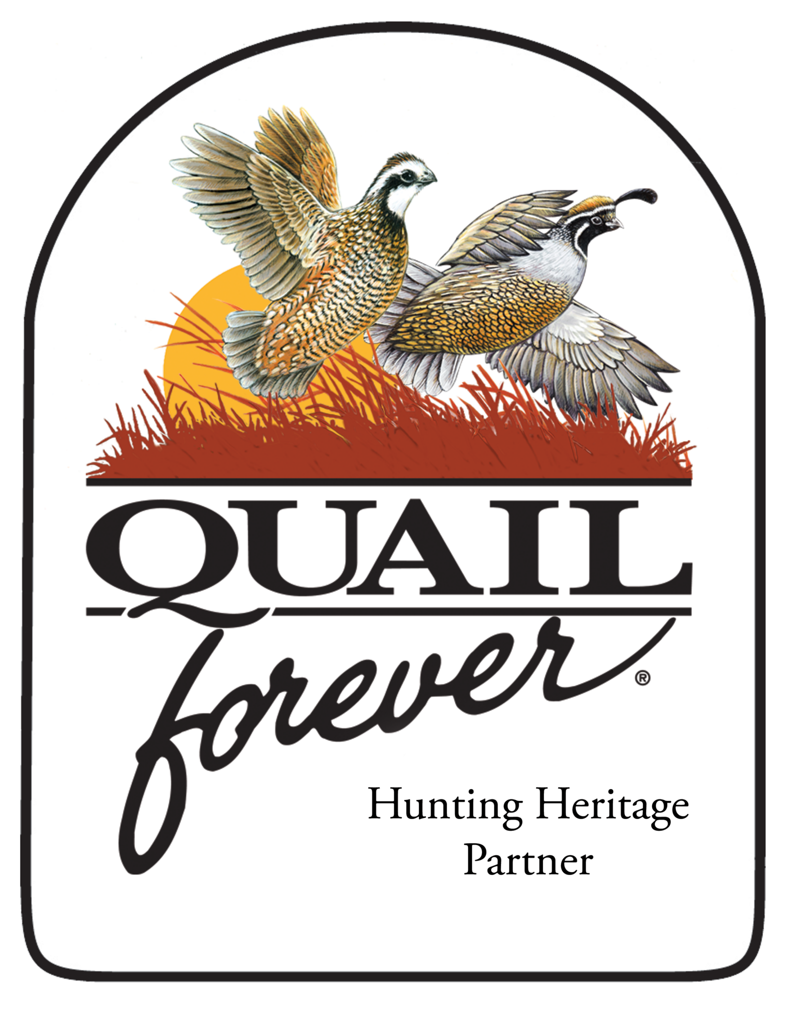 Quail Hunting - SouthWind Plantation
